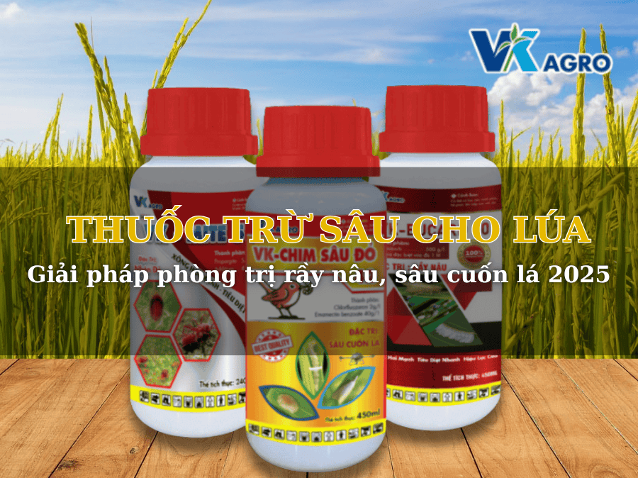 Thuốc trừ sâu cho lúa – Giải pháp phòng trị rầy nâu, sâu cuốn lá 2025